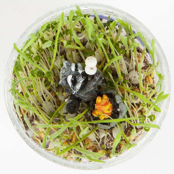 Faber Castell Creativity for Kids Grow and Glow Terrarium Kit