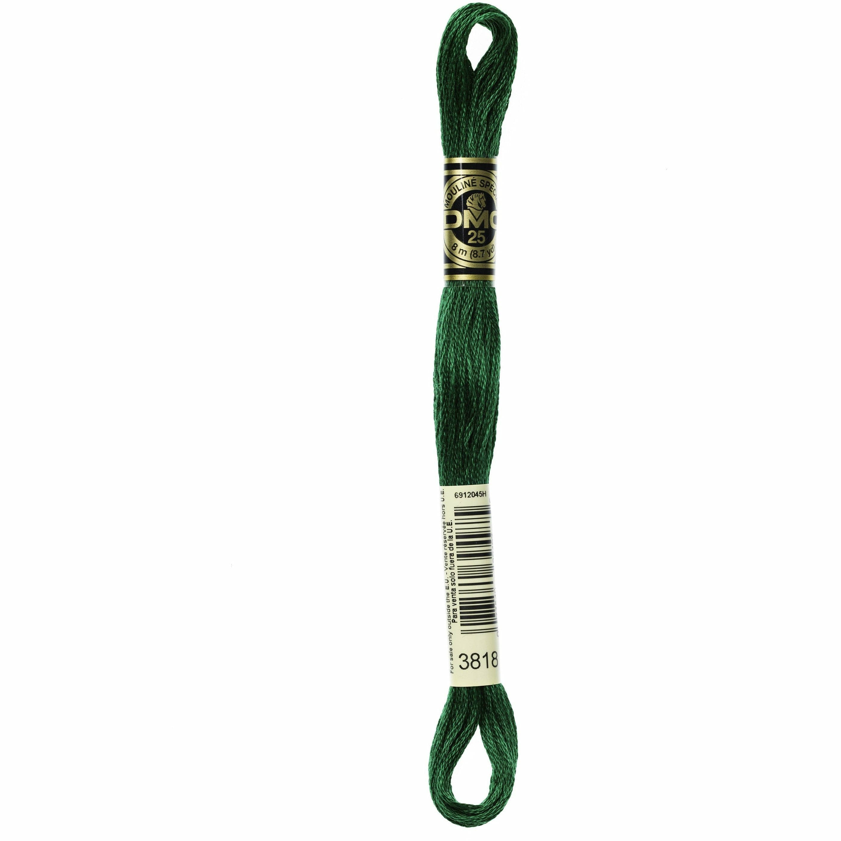 DMC Stranded Cotton Art 117 - 3818